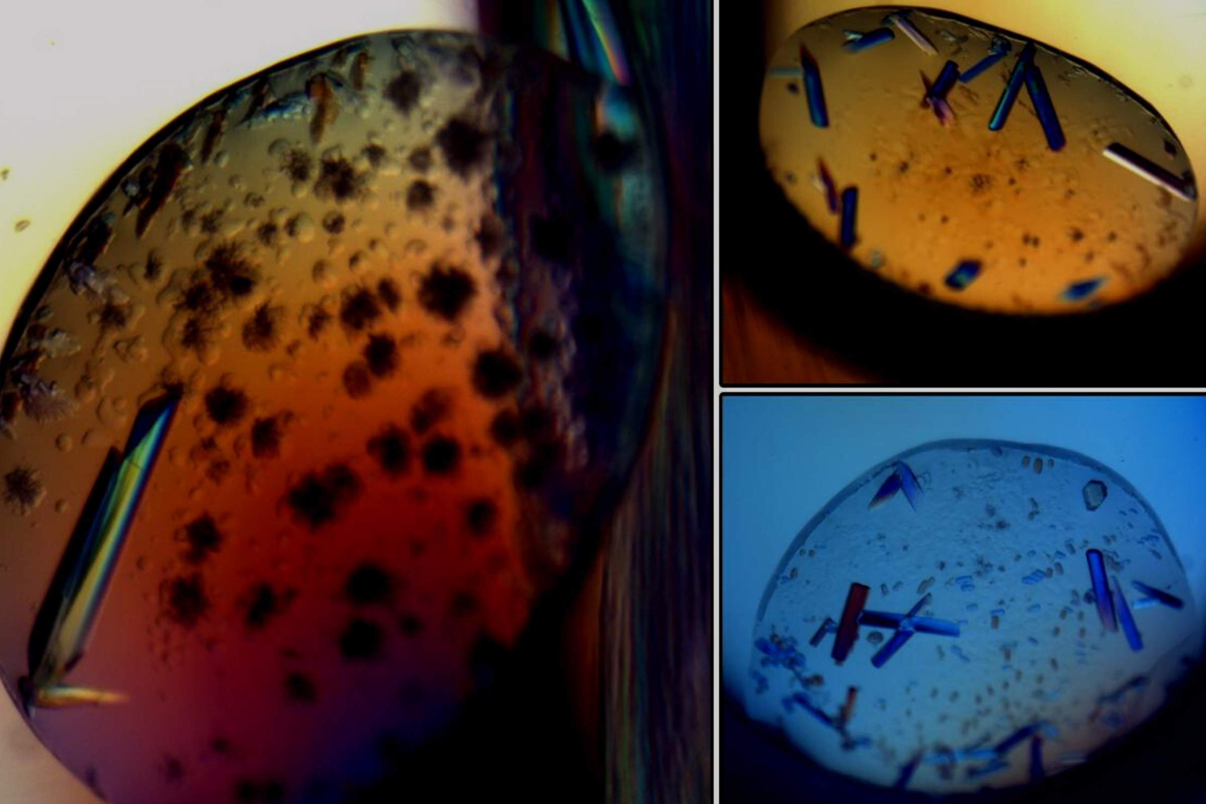 New insights into HIV virus help to understand how it evades immune ...