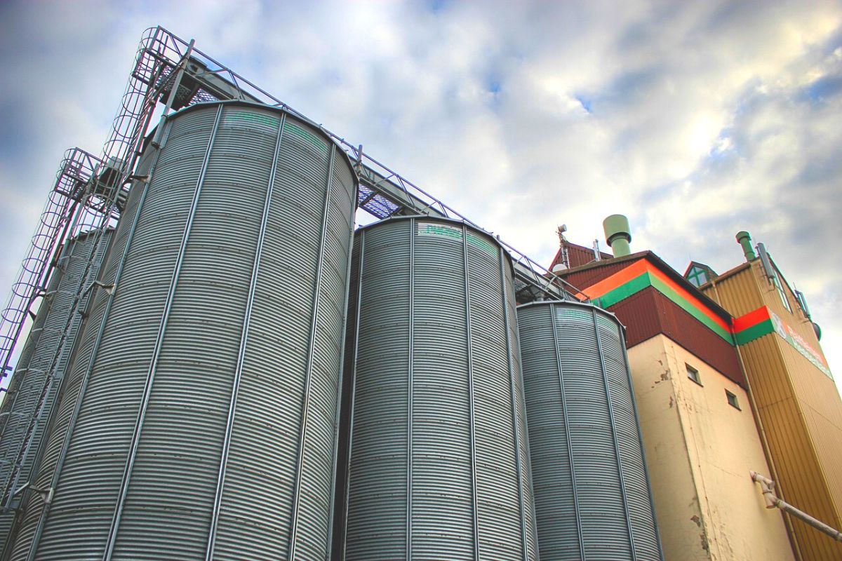 Fighting food waste: Reducing grain spoilage in storage could help feed ...