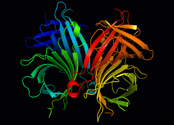 In search of the perfect system - Canadian Light Source