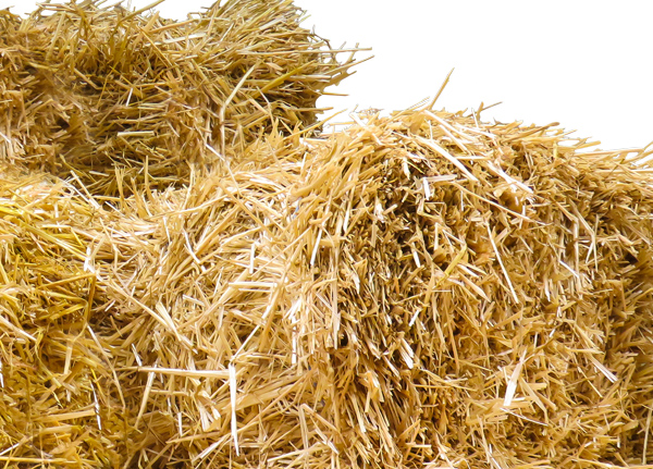 Turning straw into gold? - Canadian Light Source
