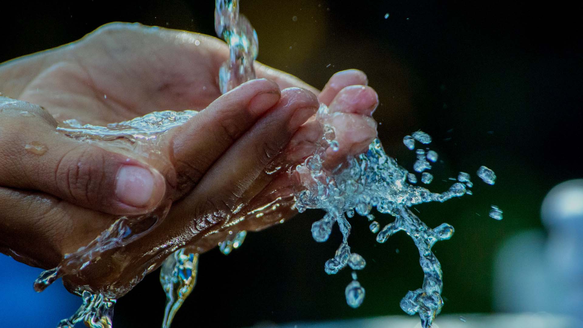 Using agricultural waste to remove arsenic from drinking water ...