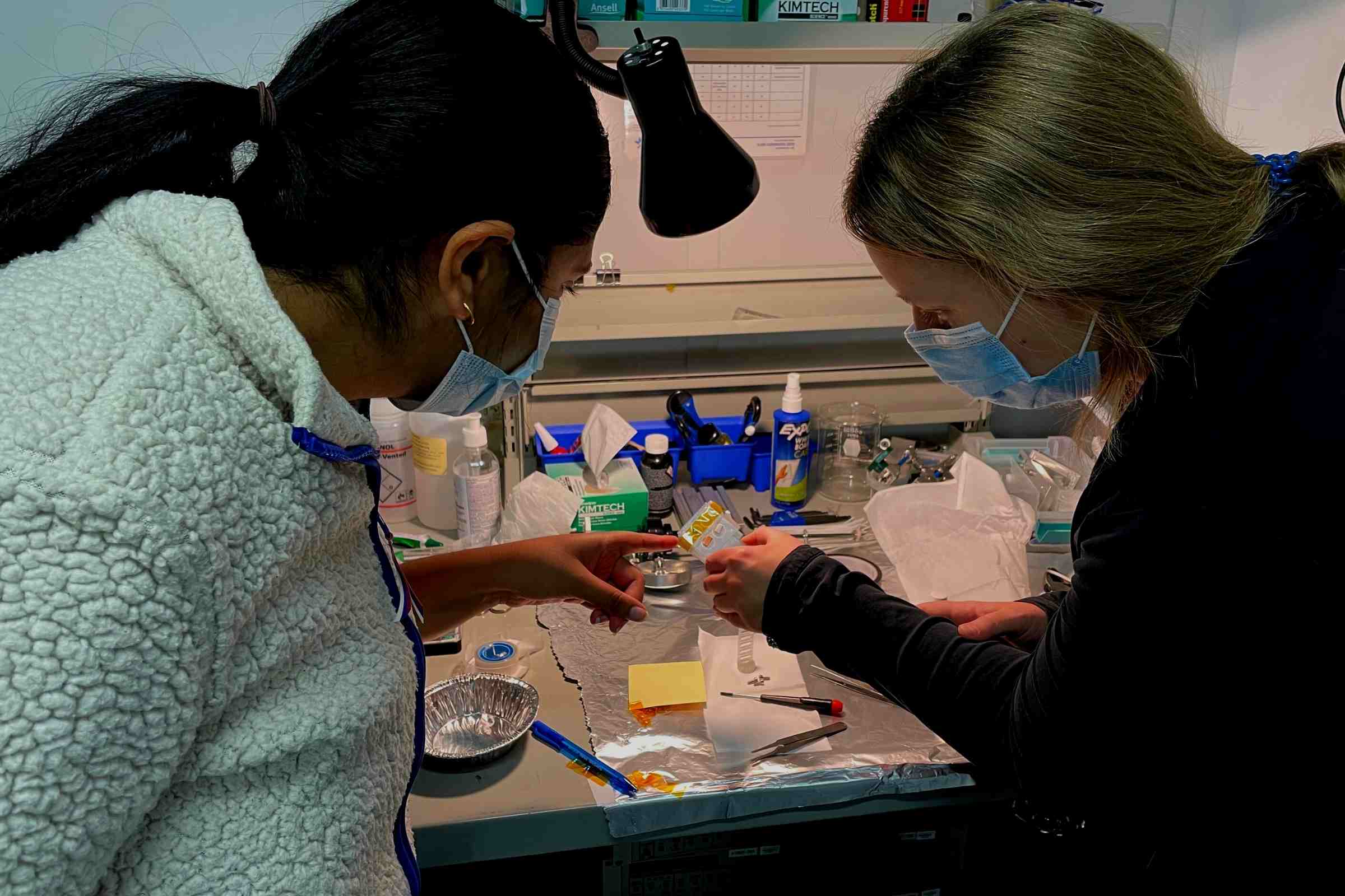 Studying toxic chemicals from medical implants and leather - Canadian ...